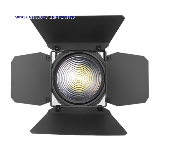 300W COB LED Fresnel Light (CW/WW/RGBW)